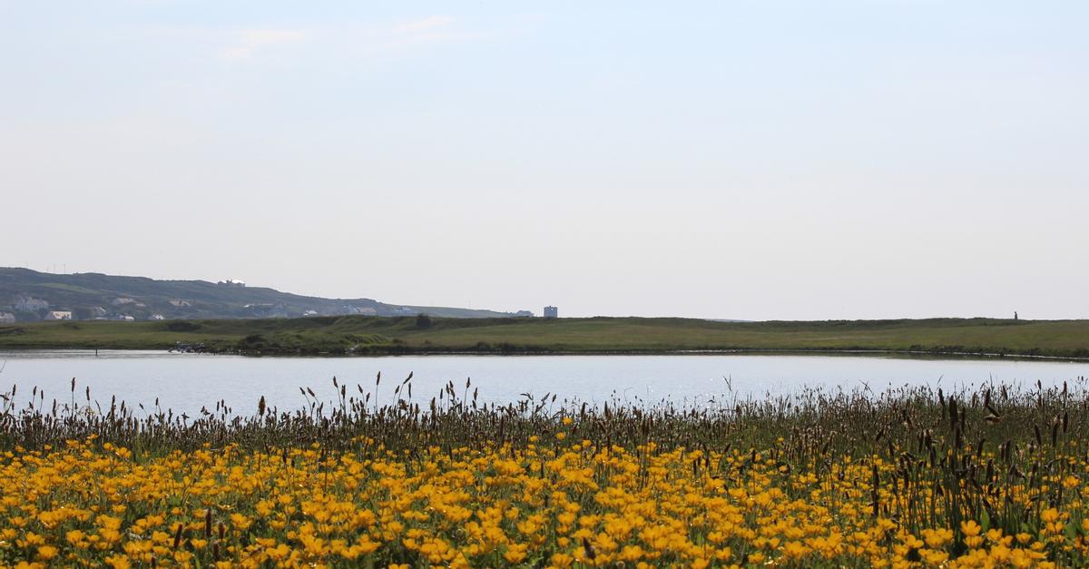 Qué visitar | Renvyle House Hotel & Resort, Connemara, Co. Galway, H91 X8Y8